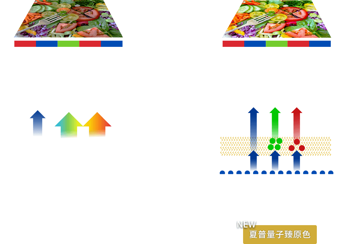 台灣夏普SHARP TW - AQUOS XLED