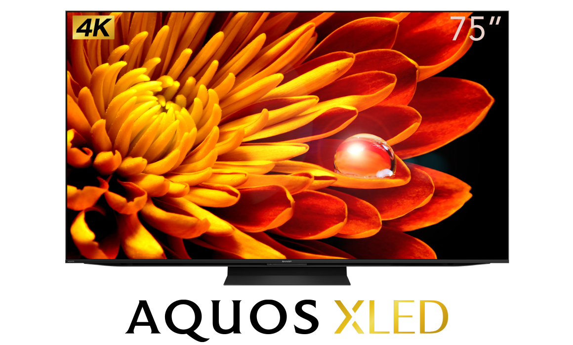 SHARP AQUOS XLED 4K智慧聯網顯示器 4T-C75FV1X | SHARP Taiwan